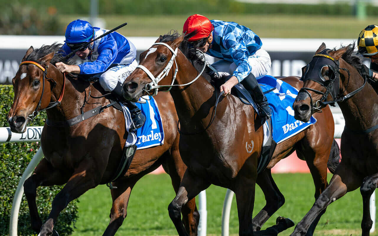 Chris Waller Racing - CWR