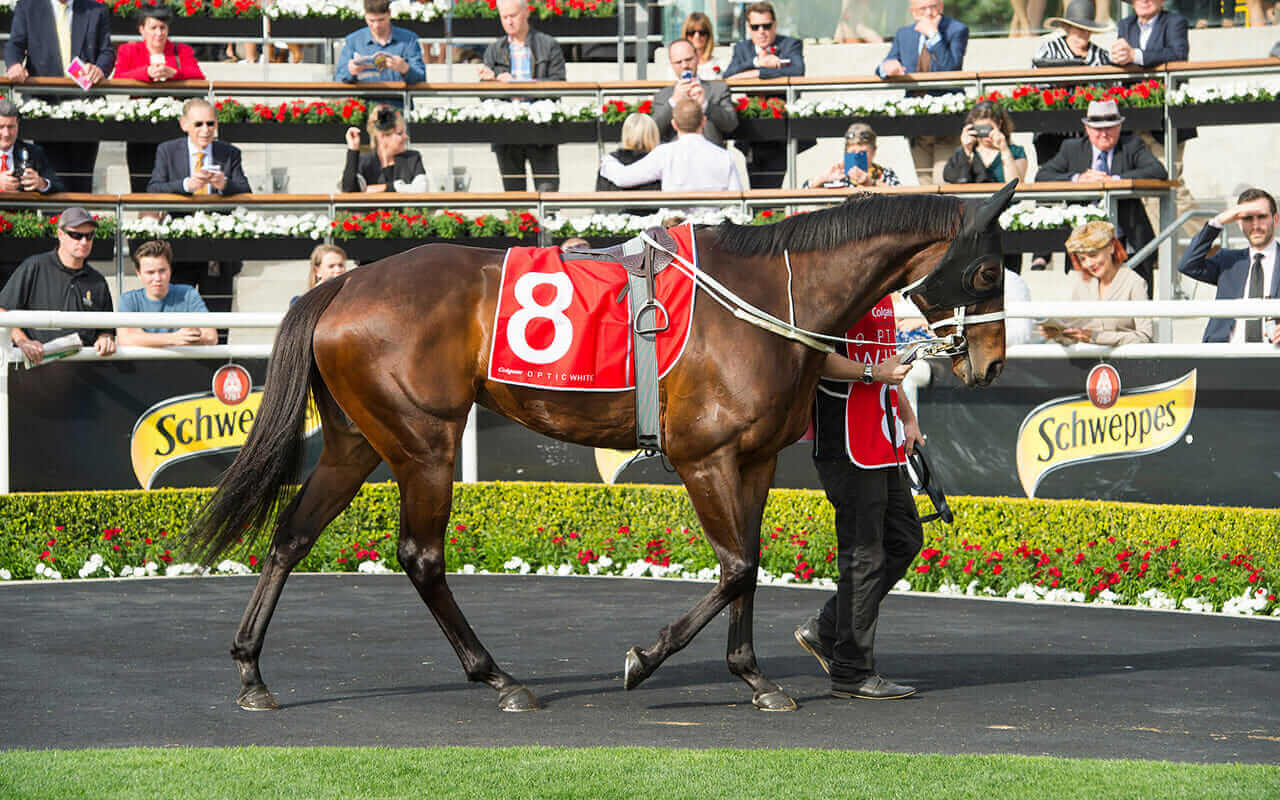 Chris Waller Racing - CWR