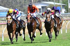 Waller runners to the fore in Queensland - CWR