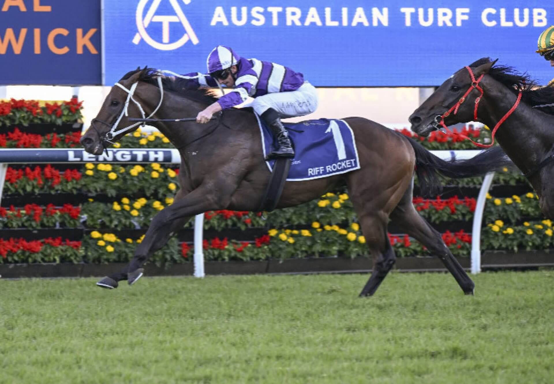 Riff Rocket gives Waller first ATC Australian Derby - CWR